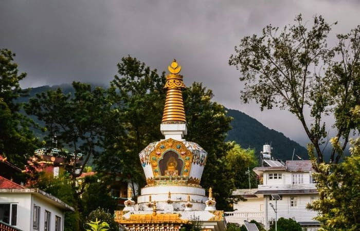Explore Hidden Himachal: Barot Valley Tour Packages